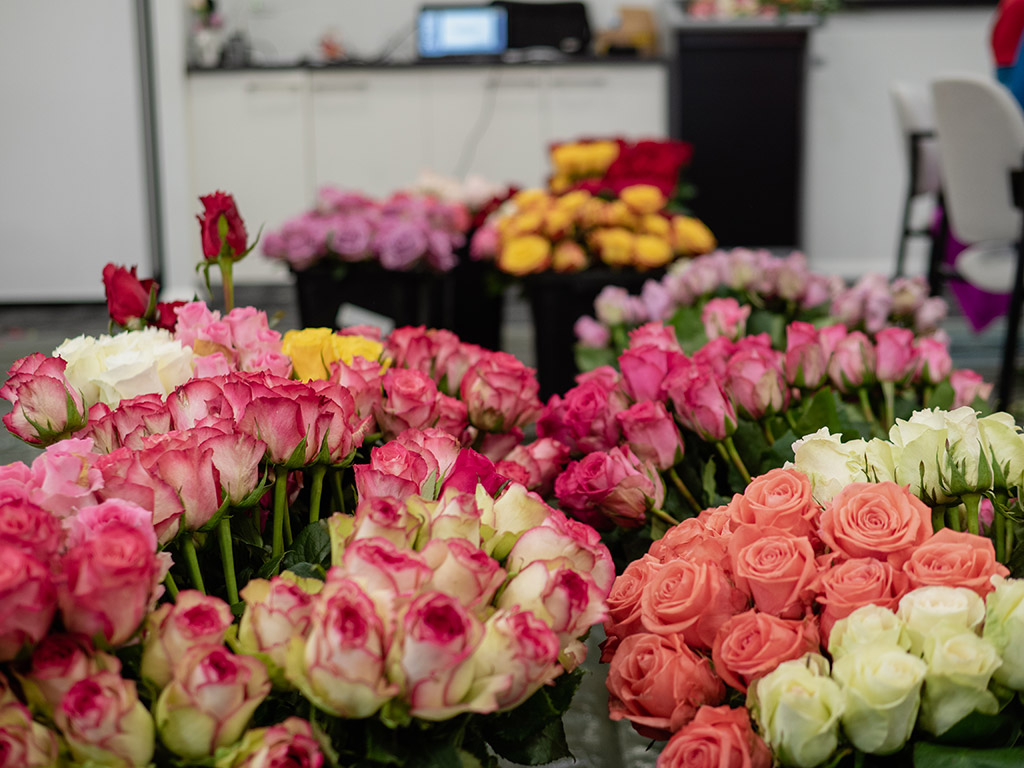 65 Roses Day 2023 — Thank You | Cystic Fibrosis WA